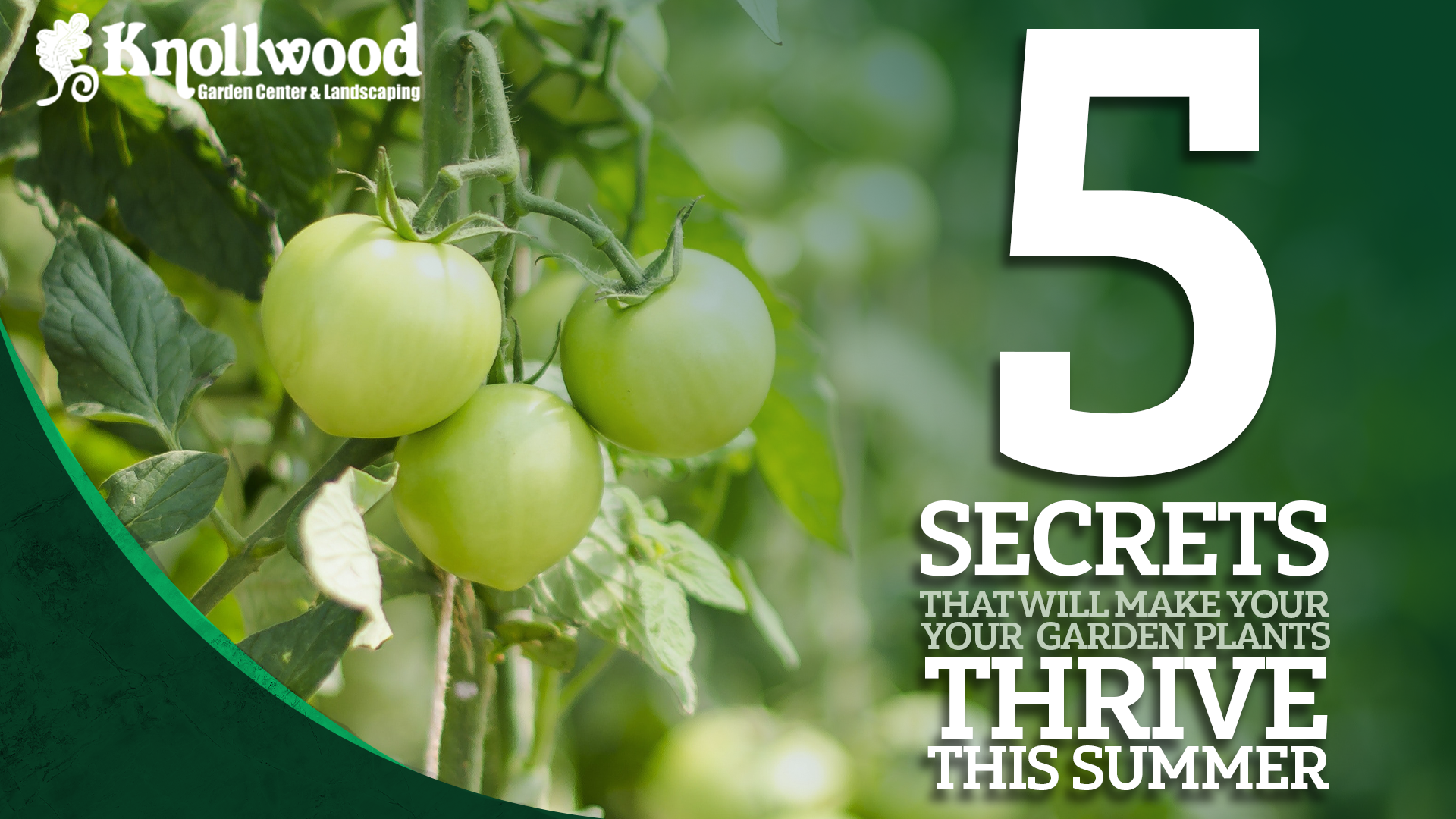 These Five Secrets Will Make Your Garden Plants Thrive This Summer ...