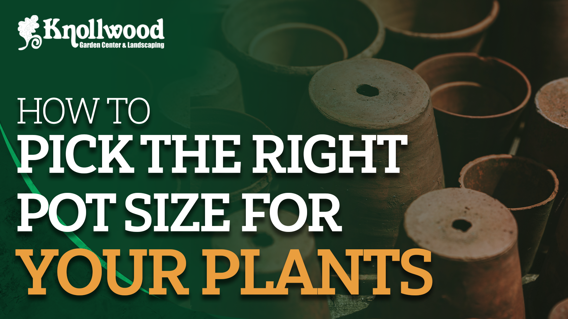 How to Pick the Right Pot Size for Your Plants | Knollwood Garden Center