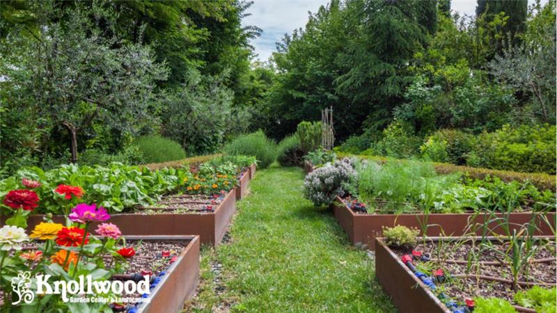 How to Design Your Dream Garden: A Beginning Groundwork Guide for Every ...